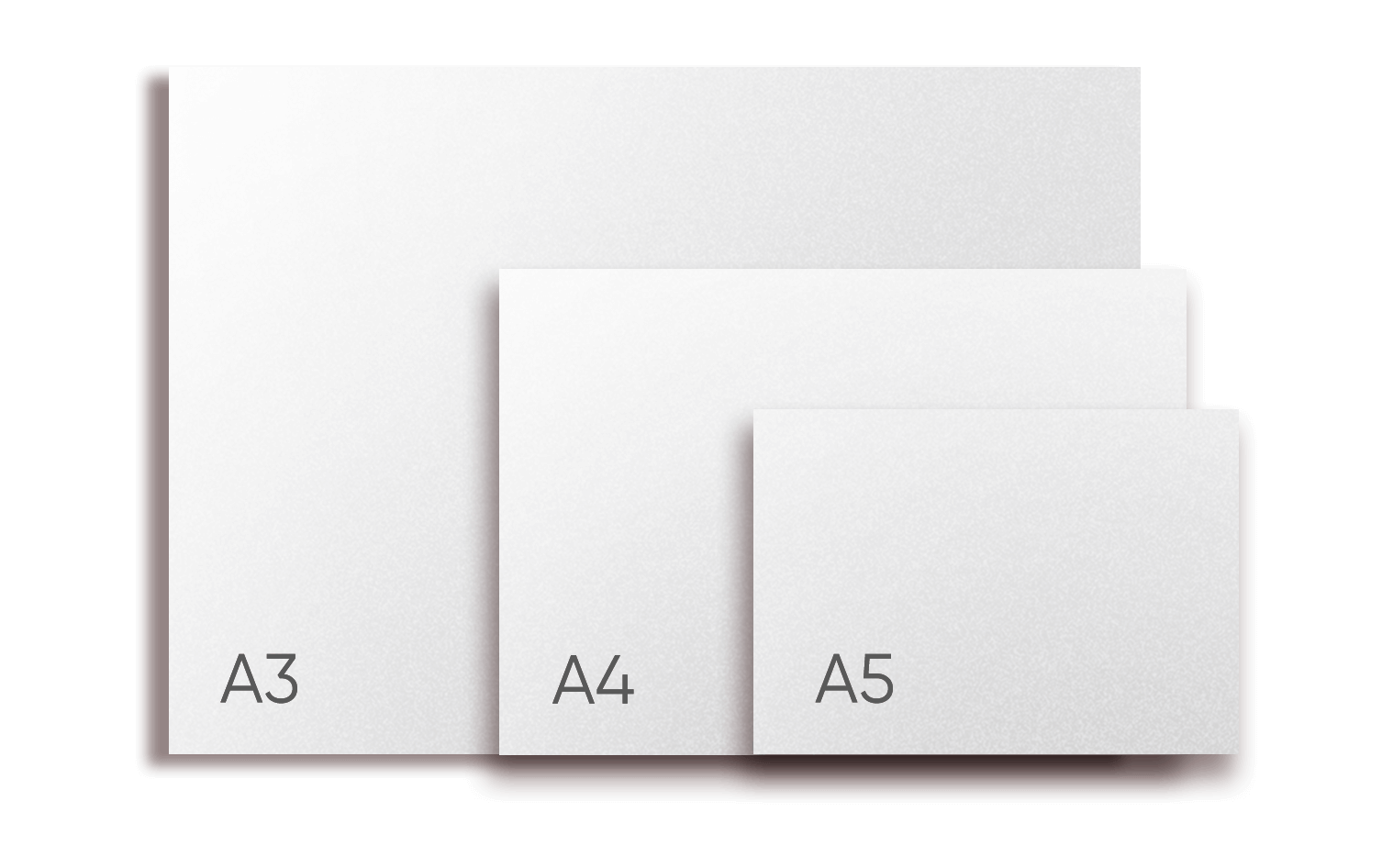 Deco Pro Gen. 2 MW/LW/XLW | XP-PEN Offizielles Store